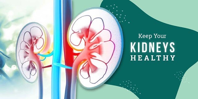 8 Ways to Keep Your Kidneys Healthy