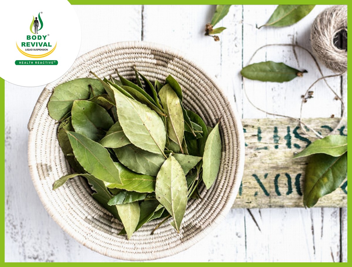 Bay Leaf (Tej Patta) Benefits & 8 Reasons Why You Should Use It