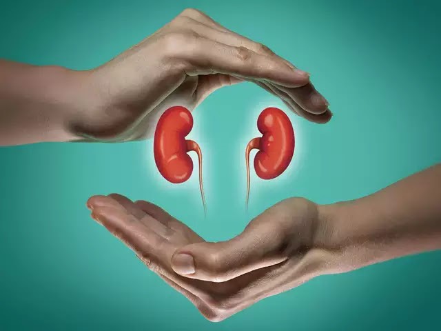 8 Ways to Keep Your Kidneys Healthy