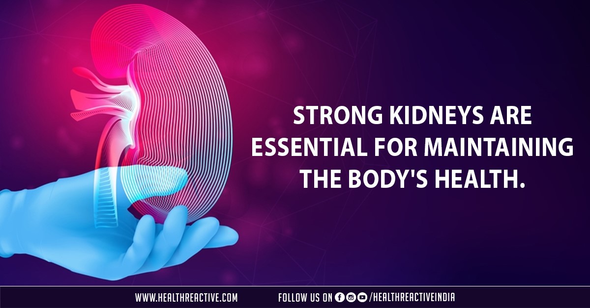 Strong kidneys are essential for maintaining the body's health.